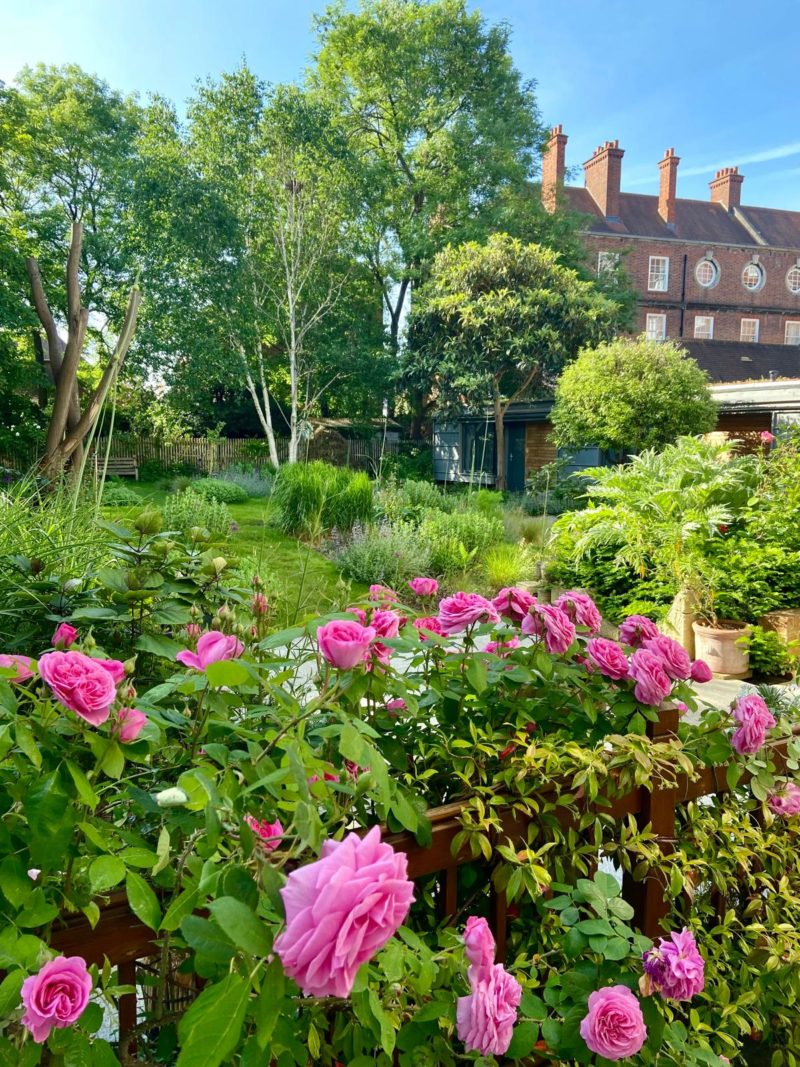 GALLERY – Temple Lodge Club – London